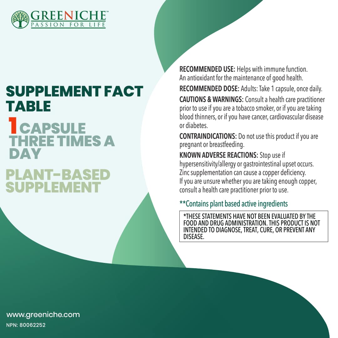 how milk thistle supports liver