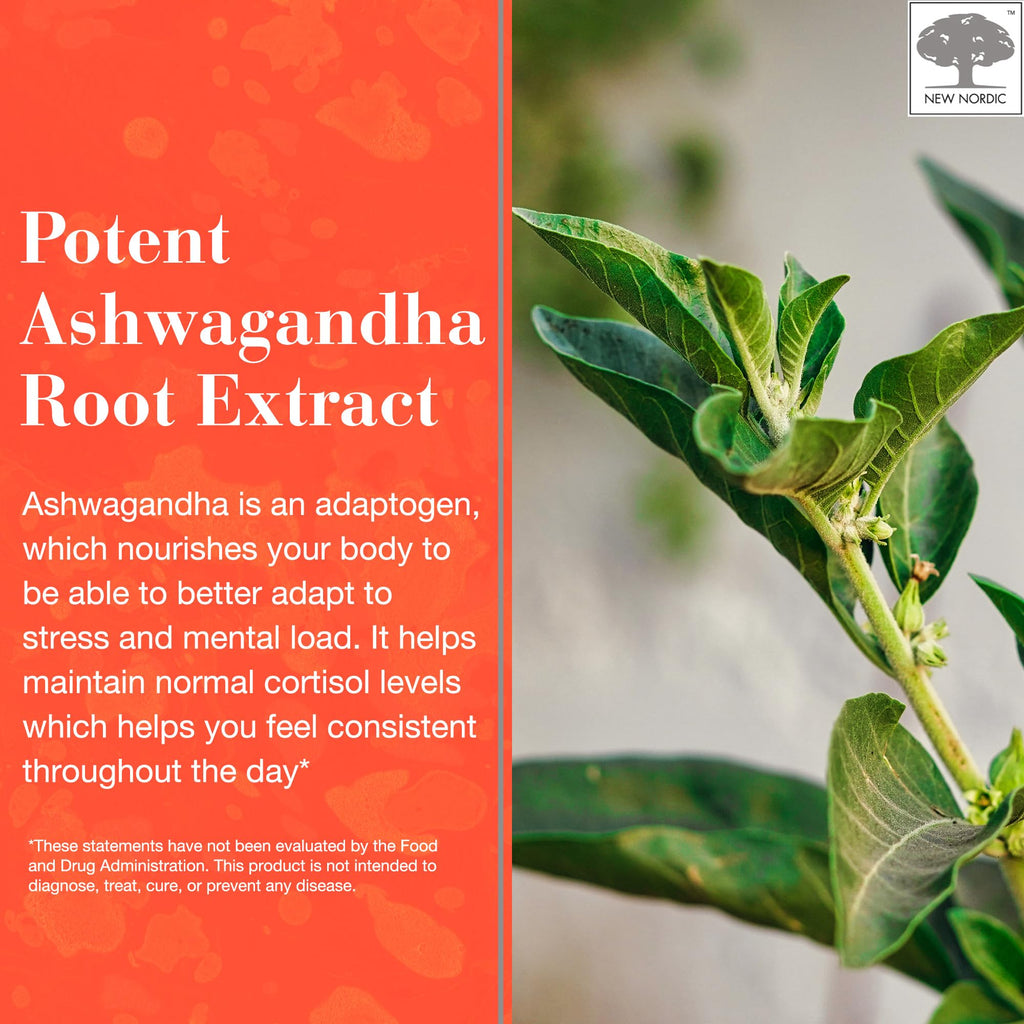 how much ashwagandha to take daily