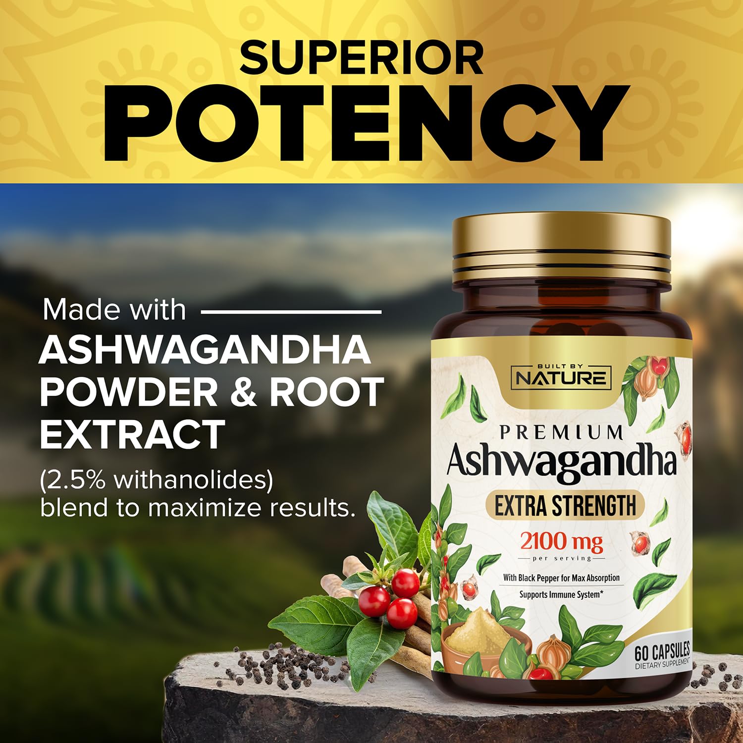 how much ashwagandha to take daily