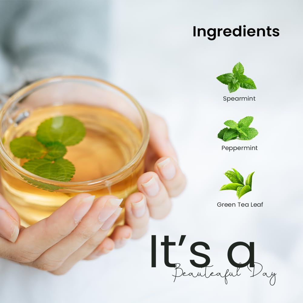 how to brew FreshLeaf green tea