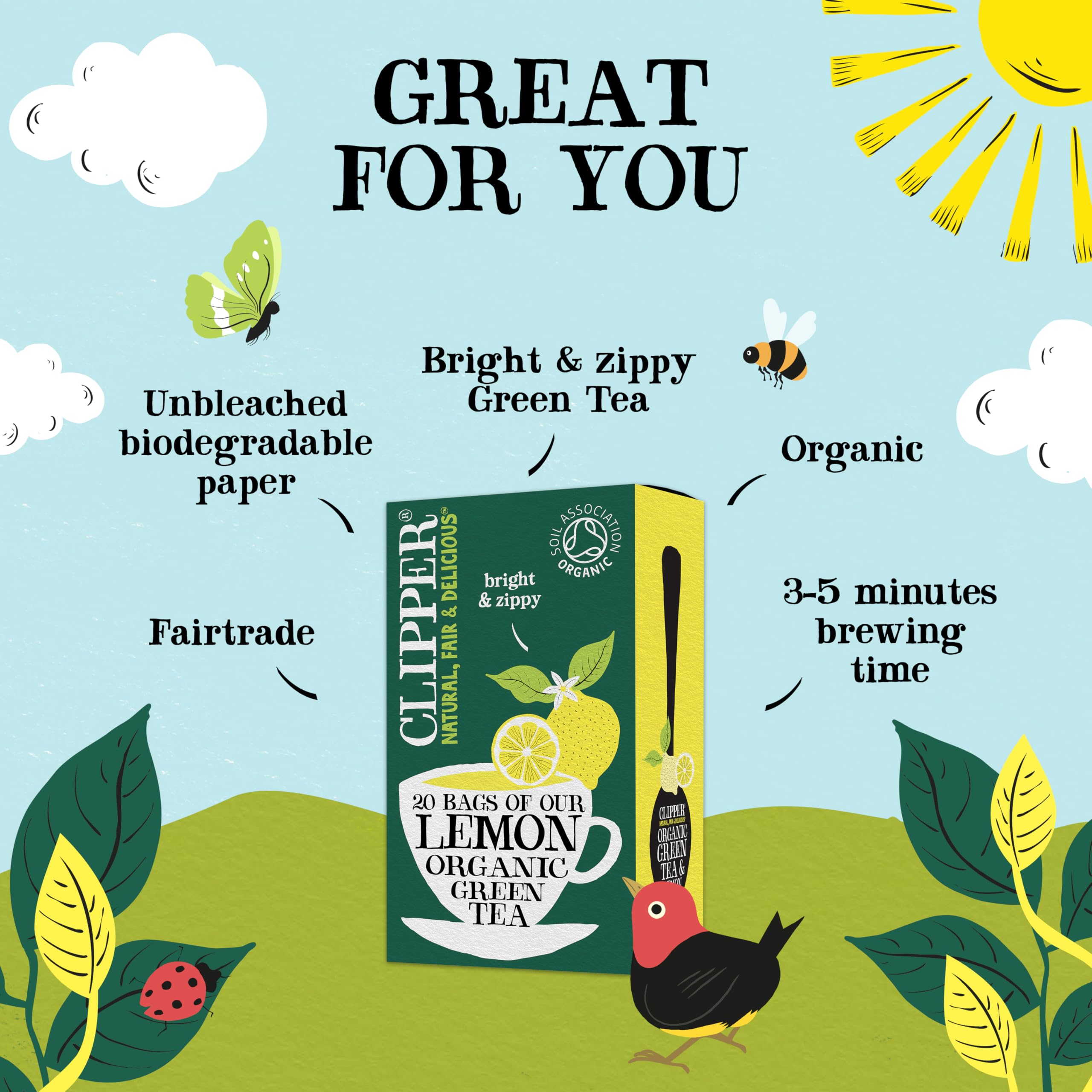 how to brew green tea bags