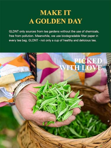 how to brew green tea bags