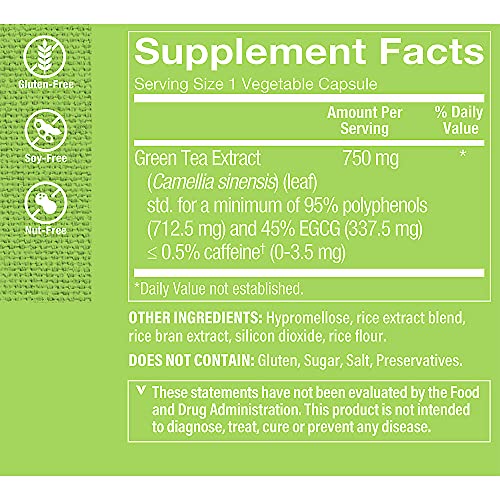 how to brew green tea extract
