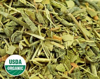 how to brew green tea properly