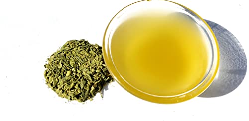 how to brew green tea properly