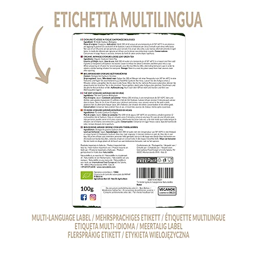 how to brew sencha green tea