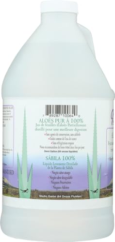 how to grow aloe vera plants
