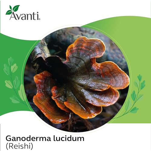 how to incorporate reishi mushrooms