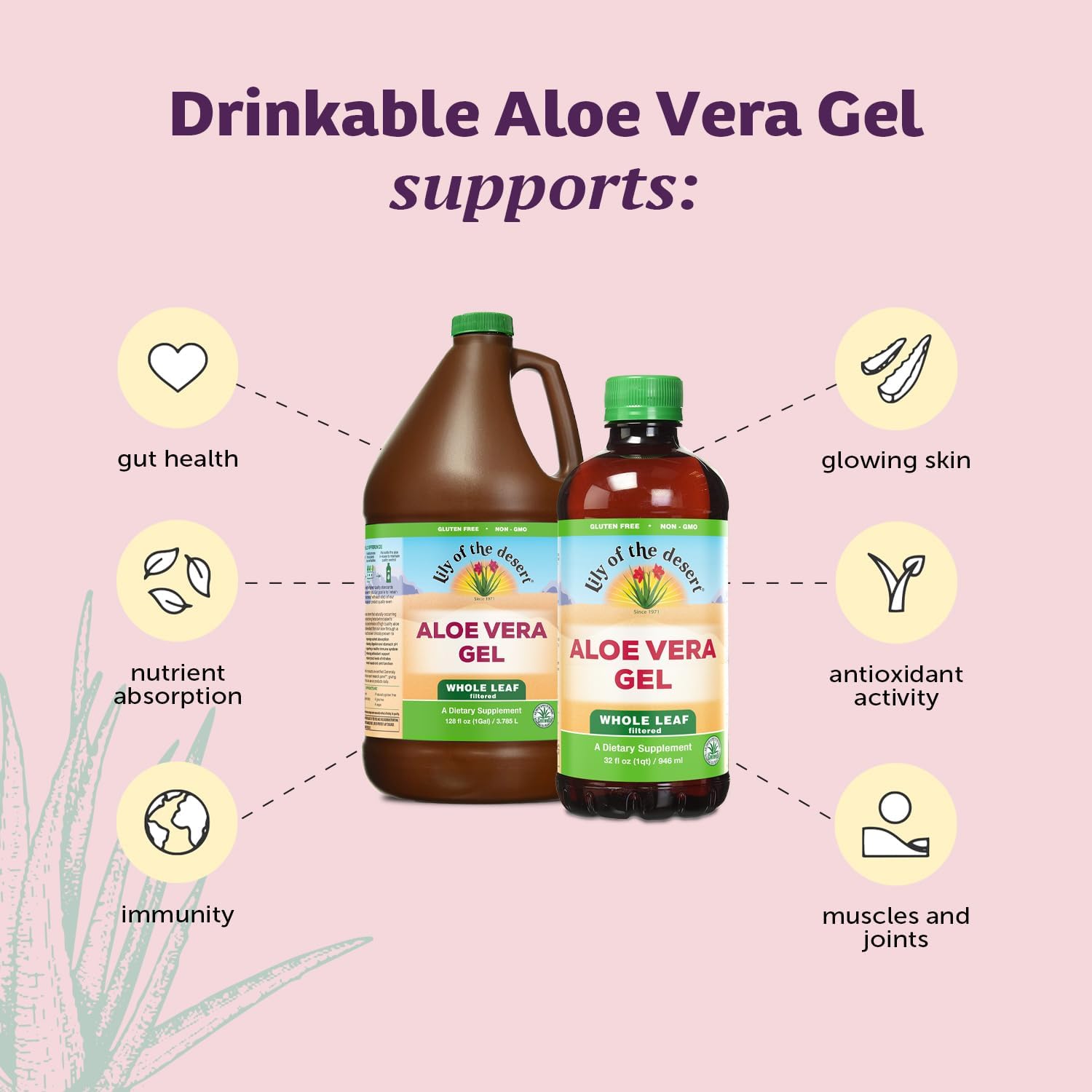 How to use aloe vera for burns