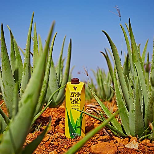 how to use aloe vera gel effectively