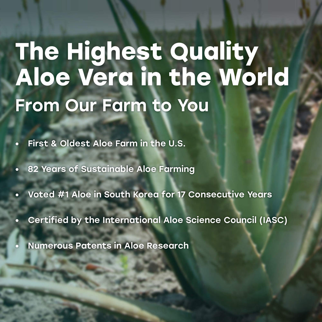 how to use aloe vera jelly