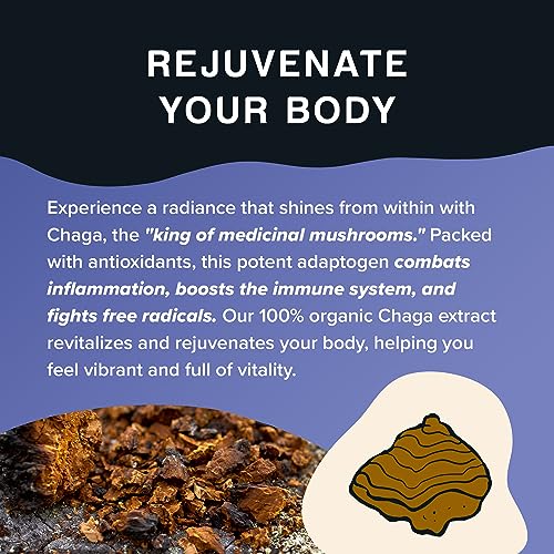 how to use chaga mushroom powder