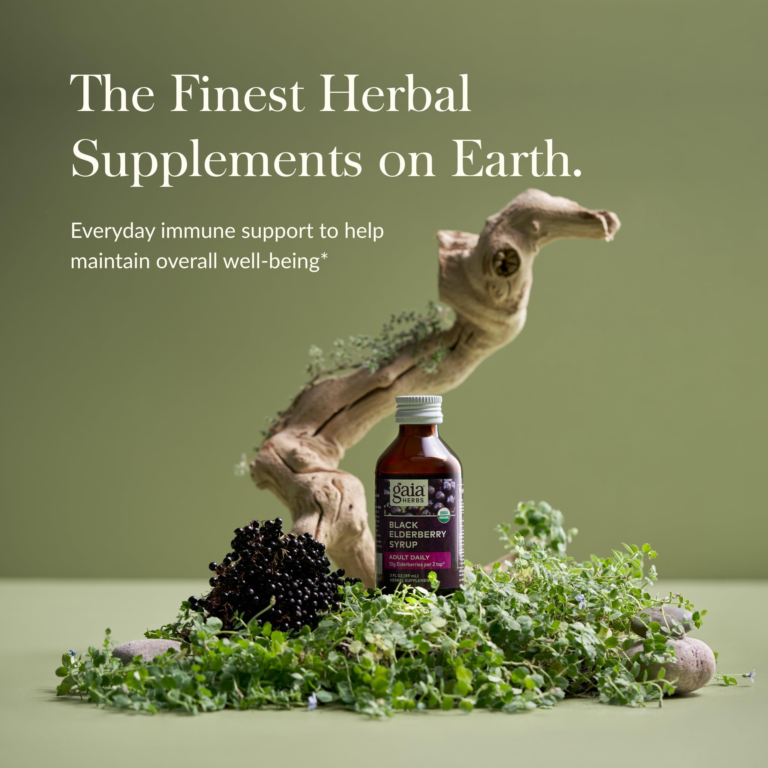 how to use elderberry syrup daily