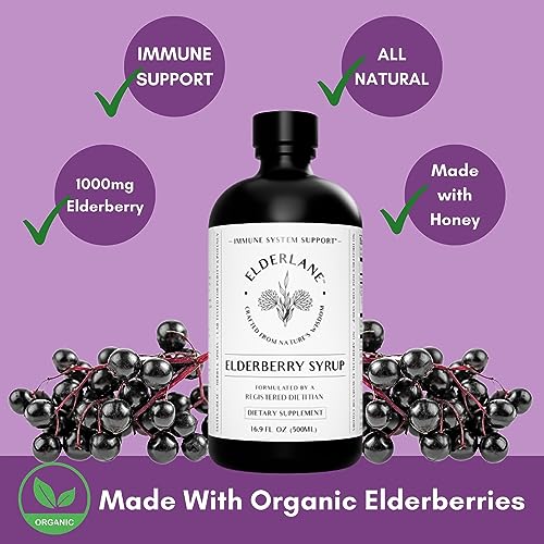 how to use elderberry syrup daily
