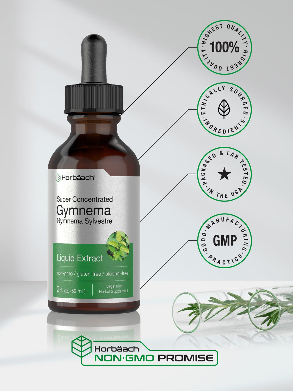 how to use gymnema sylvestre