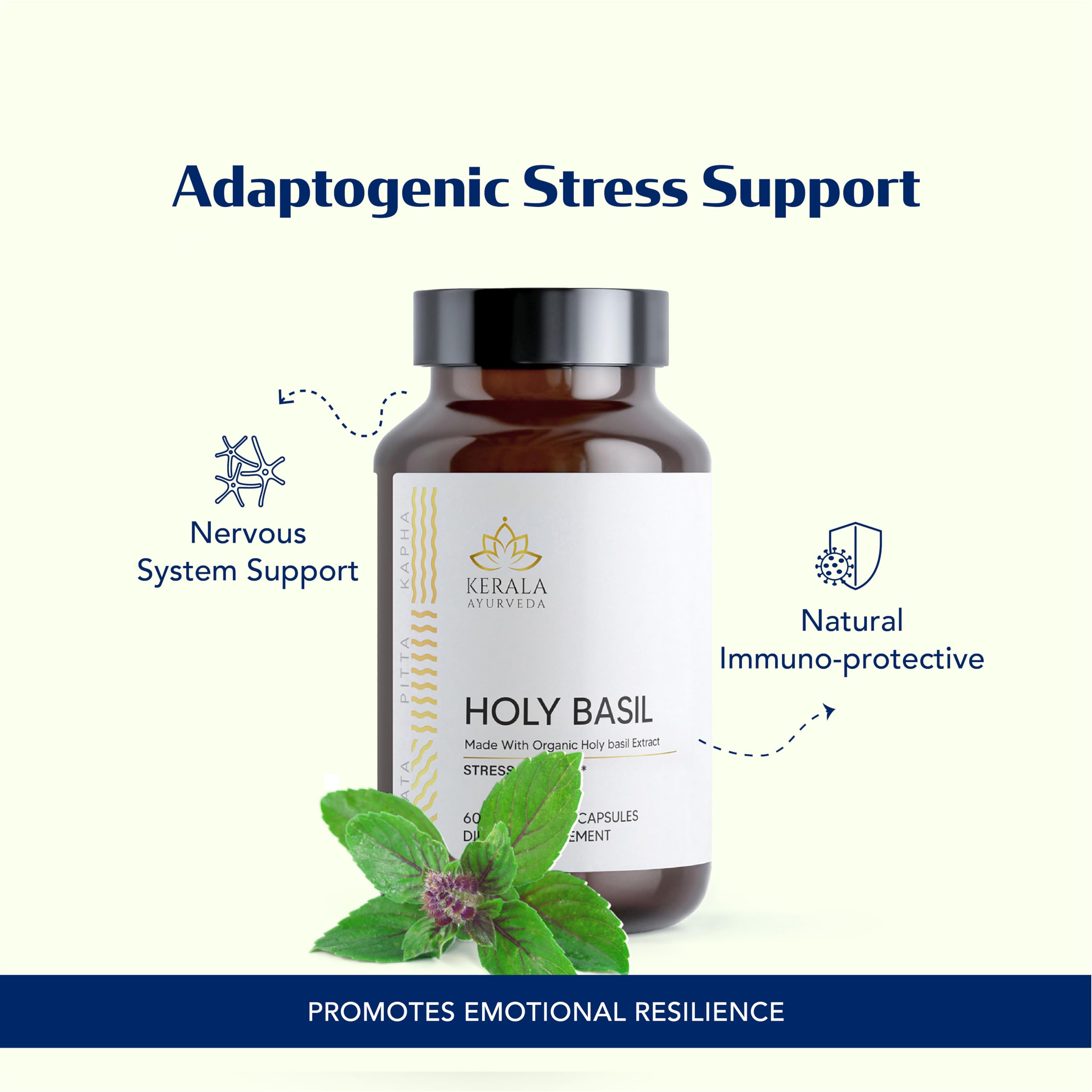 how to use holy basil extract