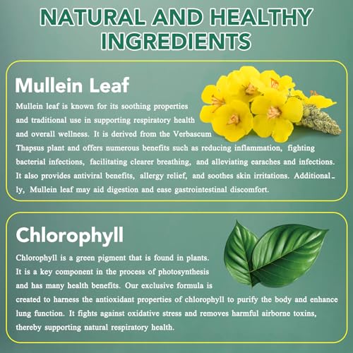 how to use mullein for breathing