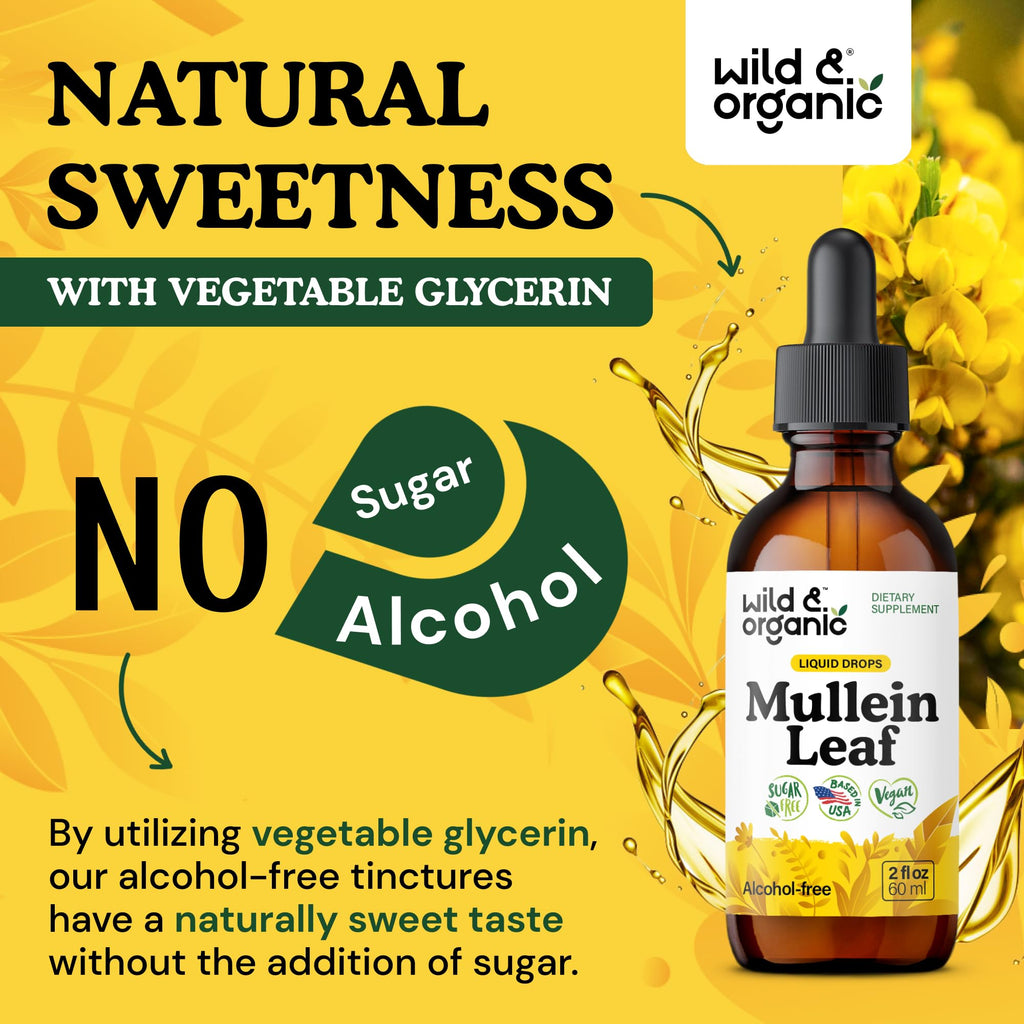how to use mullein for health