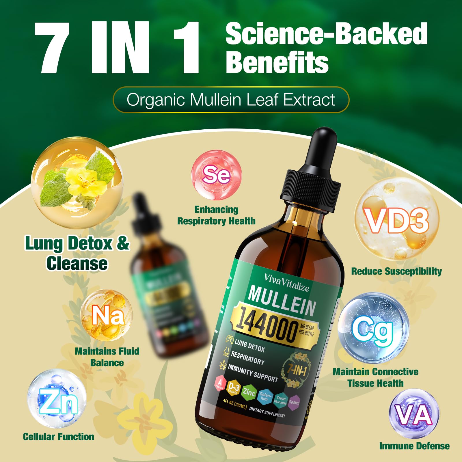 how to use mullein leaf extract