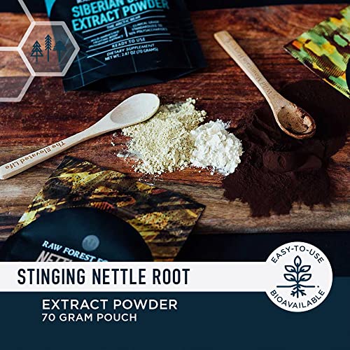 how to use nettle in cooking