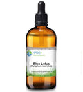 HPDC+ Blue Lotus tincture benefits