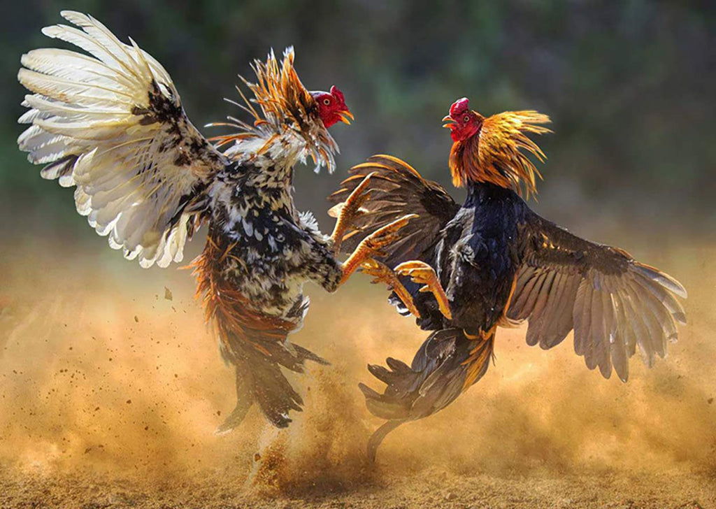 HULX Faster vitamins for vibrant feathers