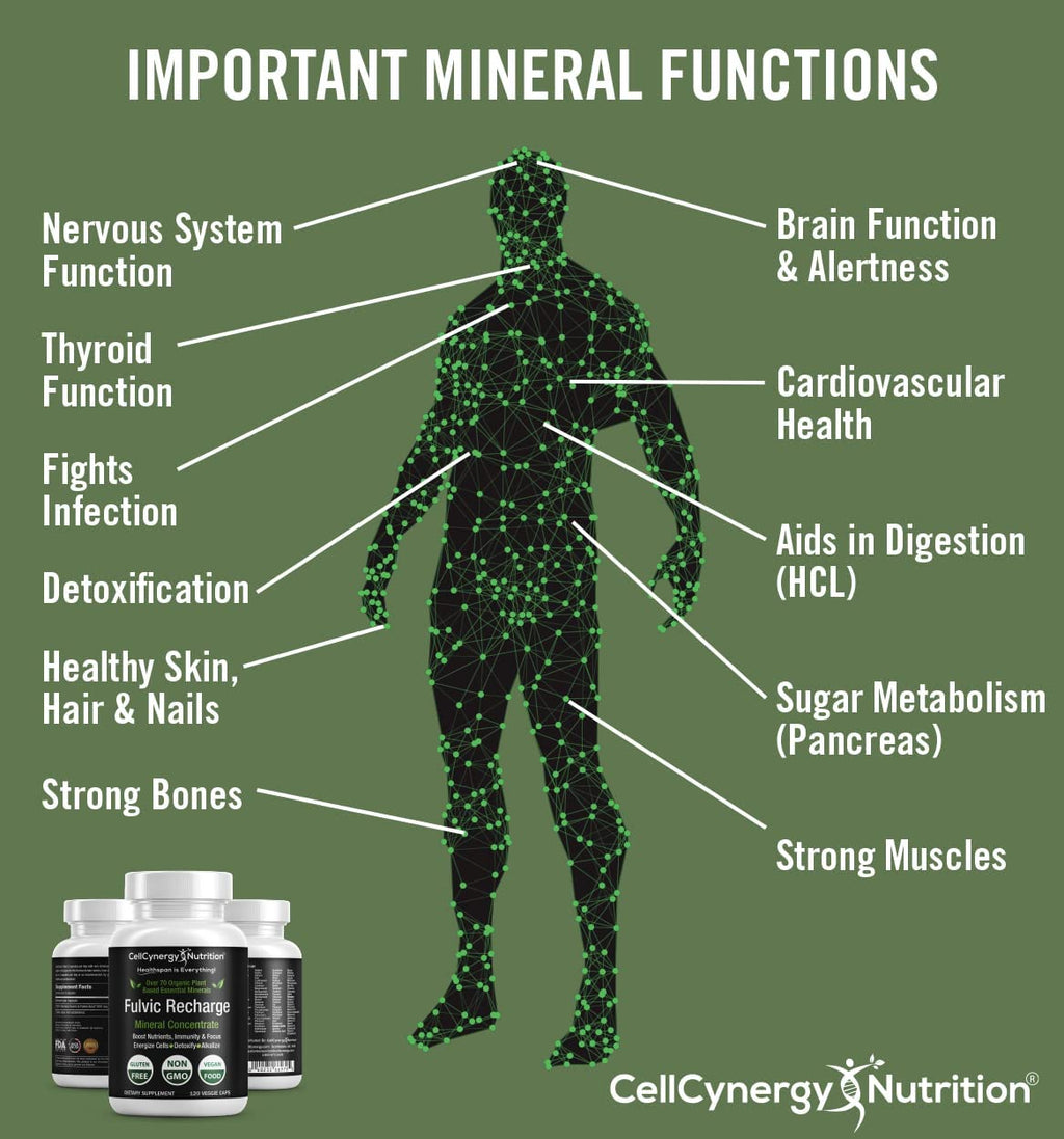 humic acid for detox support