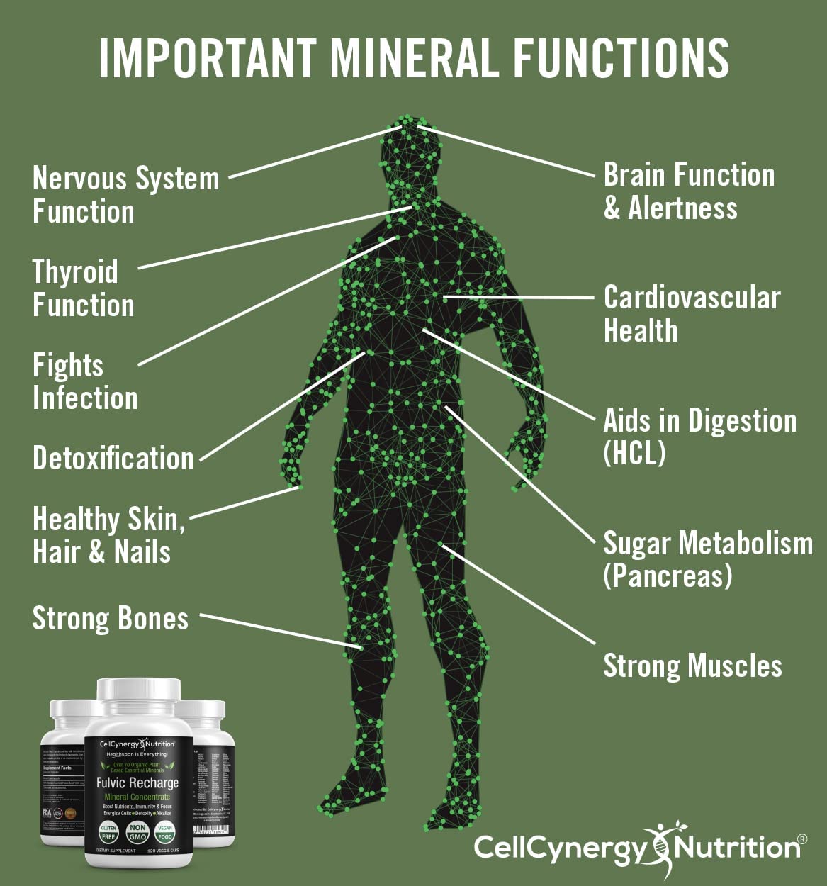 humic acid for detox support