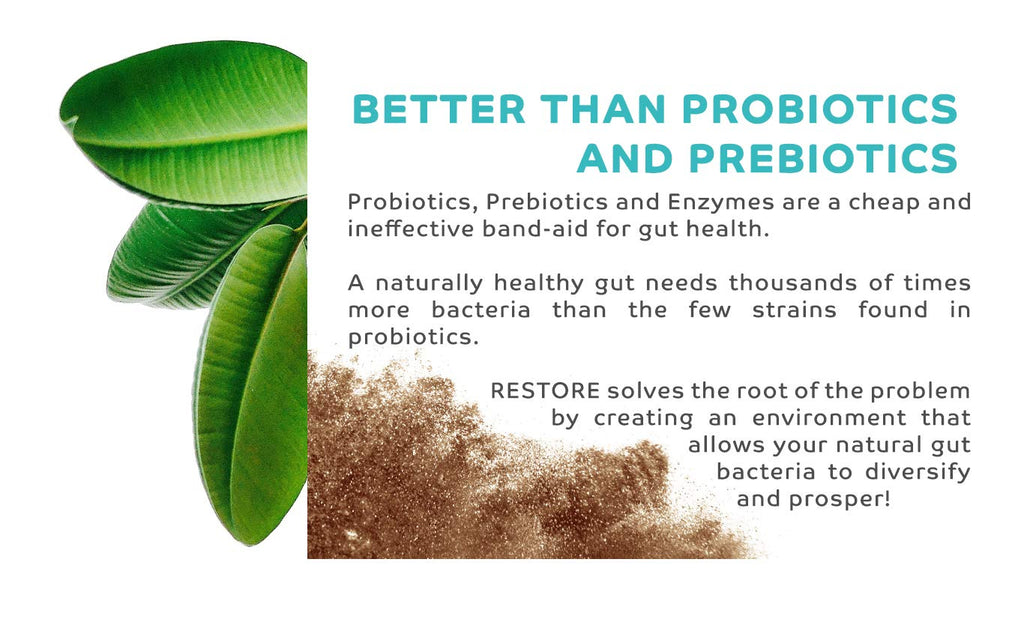 humic substances for overall wellness
