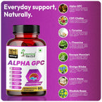 Humming Herbs brain health supplement