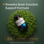 Huperzine A for cognitive support