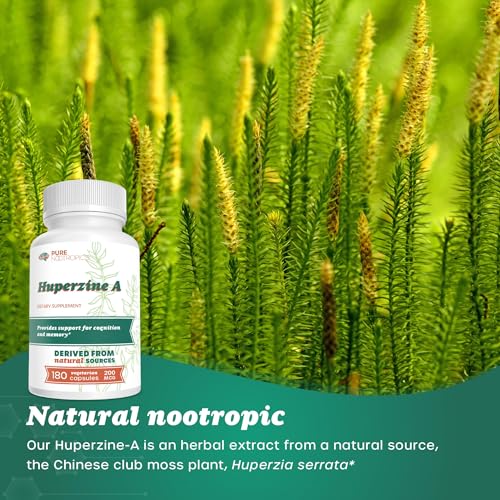 Huperzine A for enhanced memory