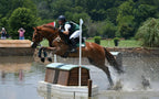 Hyalogic gel for horse hydration