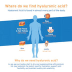 Hyalogic Synthovial Seven benefits