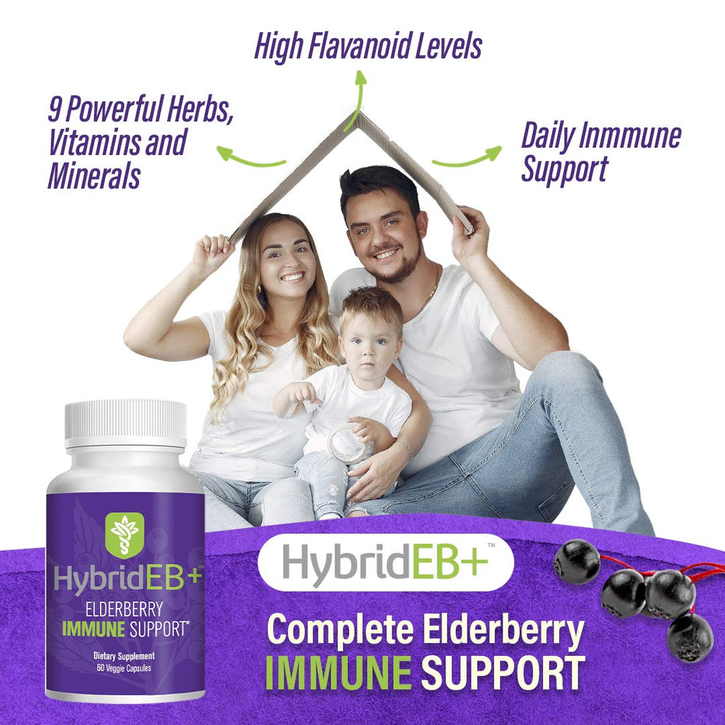 hybrideb elderberry for seasonal health