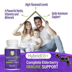 hybrideb elderberry for seasonal health
