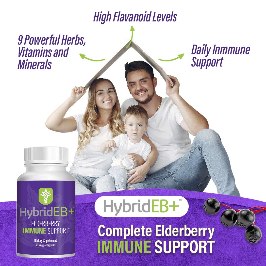 hybrideb elderberry for seasonal health