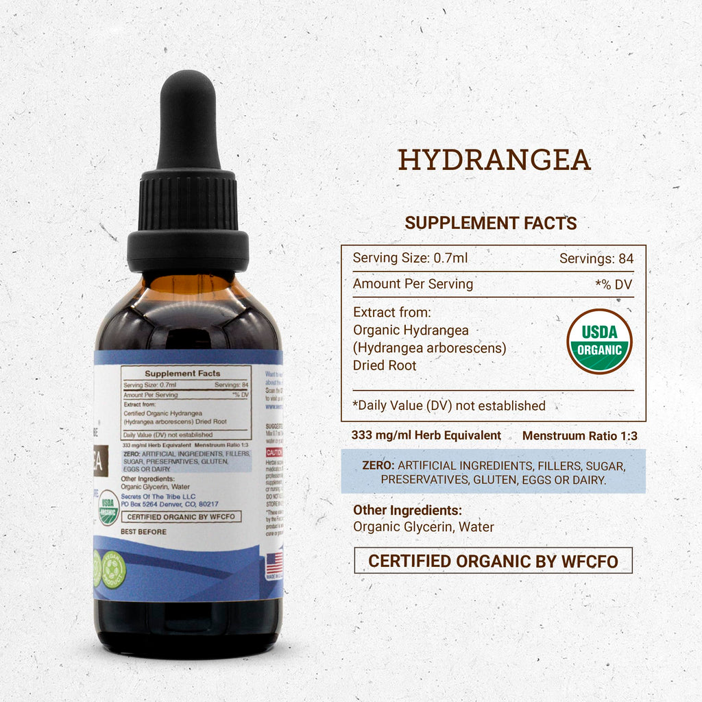 hydrangea extract for holistic healing