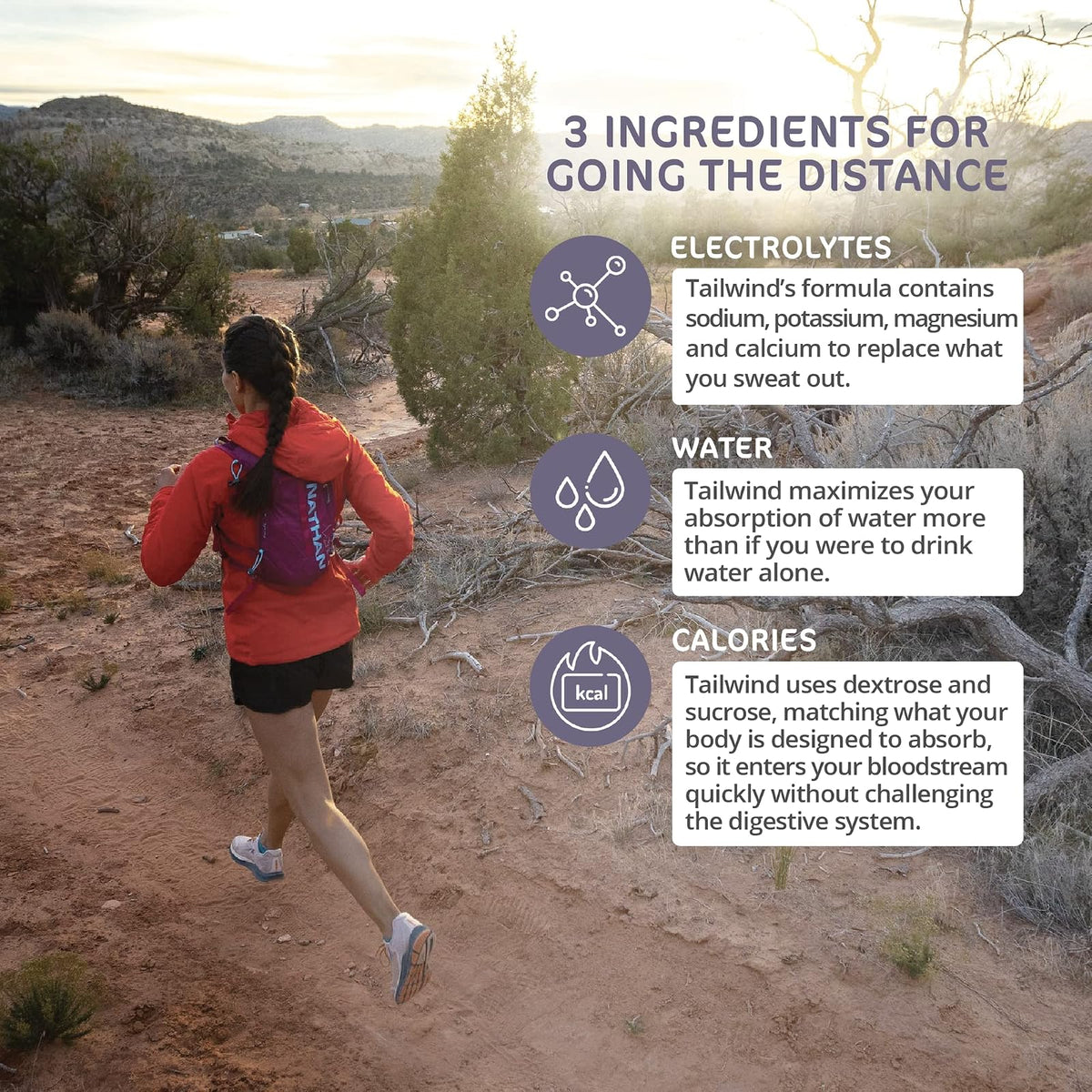 hydrating endurance drink mix