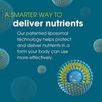 Hydrating liposomal collagen formula