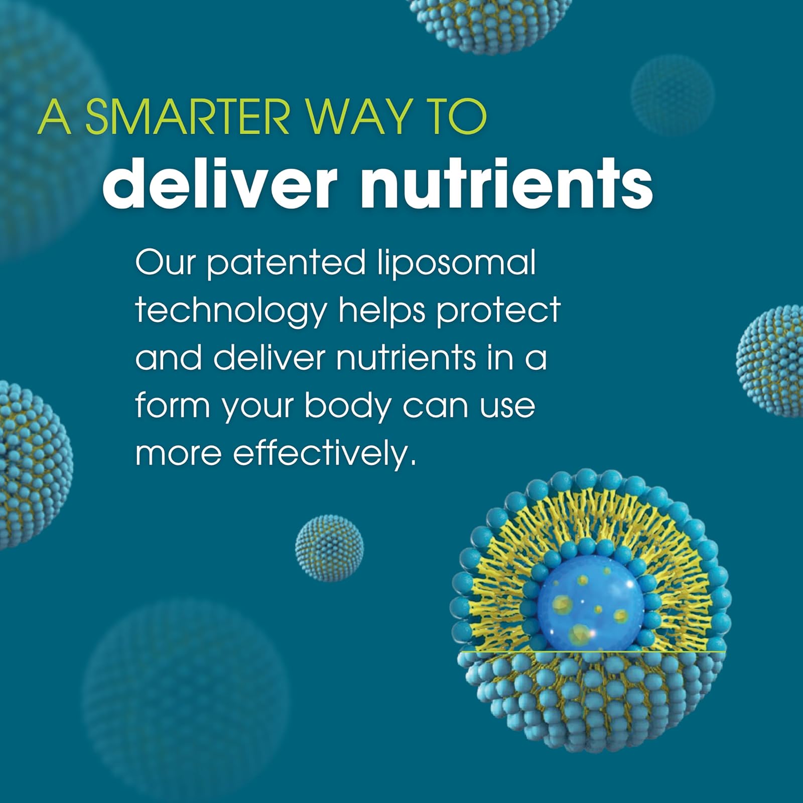 Hydrating liposomal collagen formula