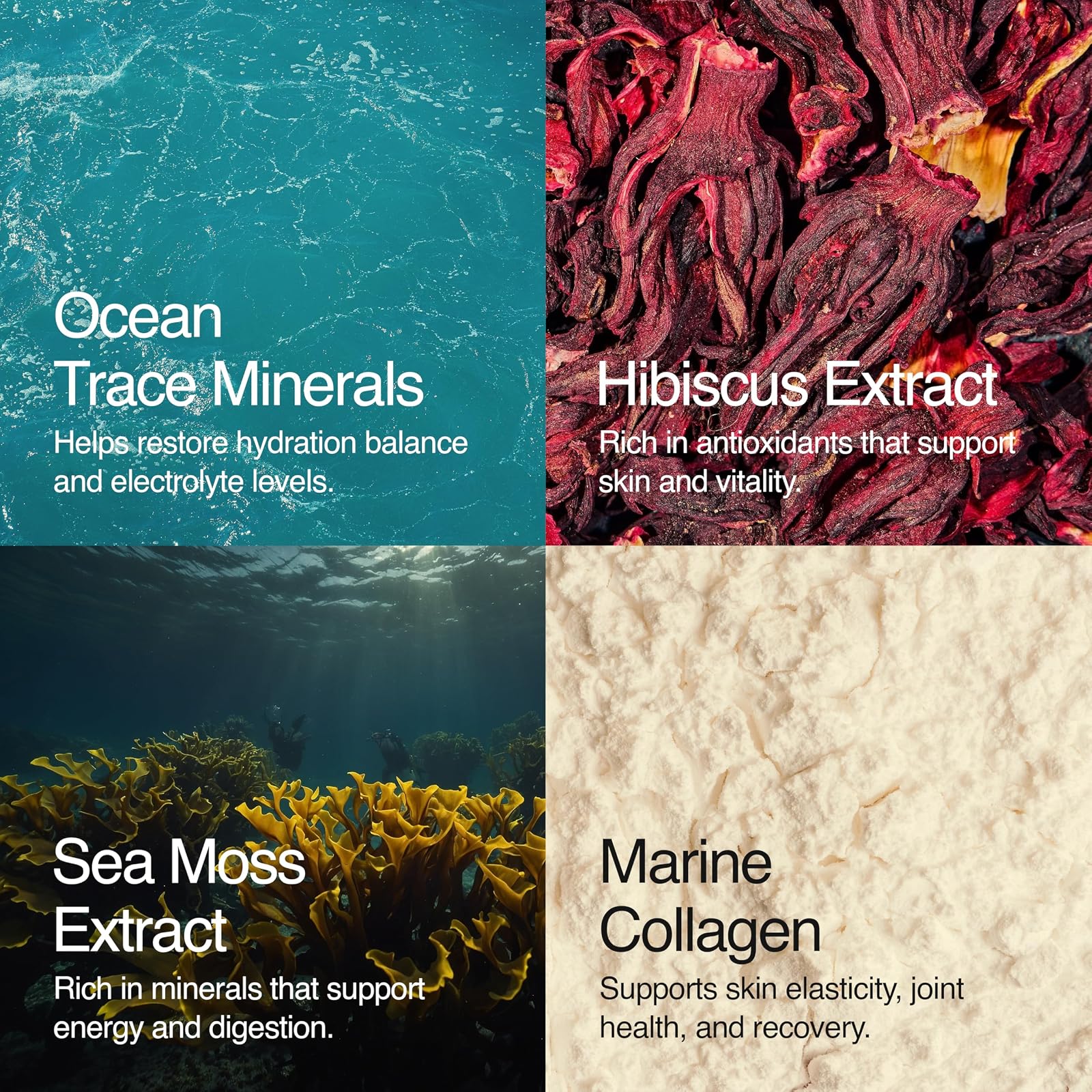 Hydrating marine collagen supplement