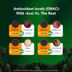 I AM açaí powder for energy boost