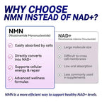 I LOVE HEALTH NMN benefits