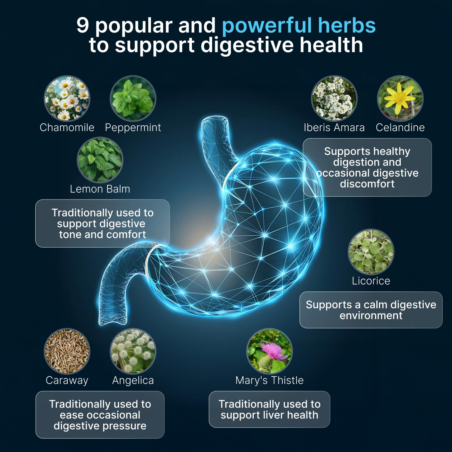 IBShield chamomile for sore throat relief
