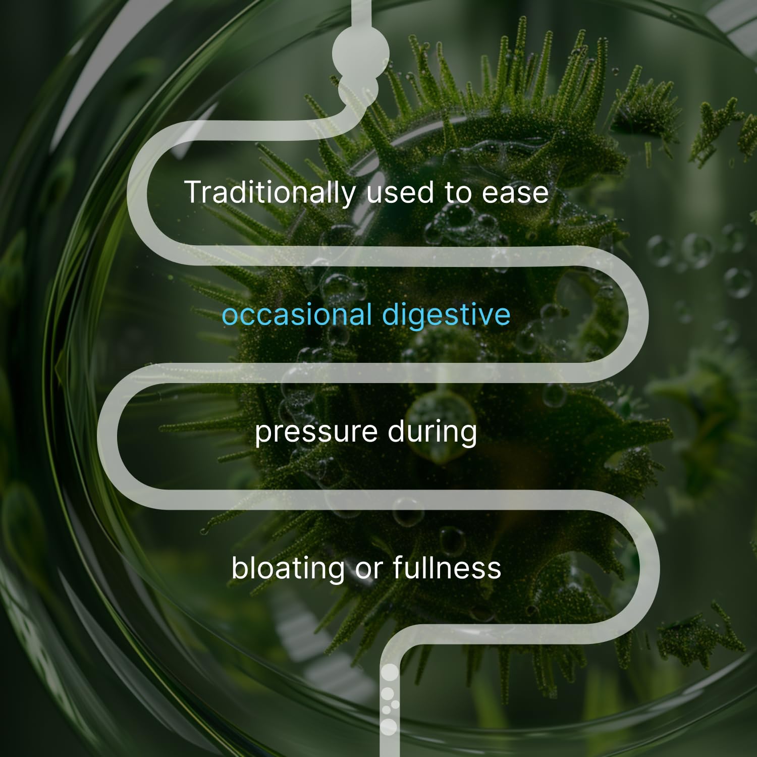 IBShield herbal tincture for stress relief