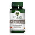 Iceland Moss supplement for digestion