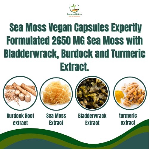 immune boost with organic sea moss