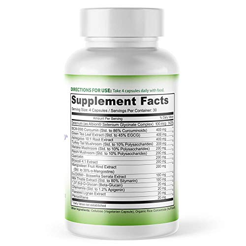 immune boost with turkey tail mushrooms