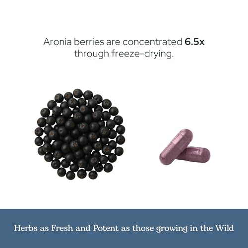 Immune boosting aronia berry capsules